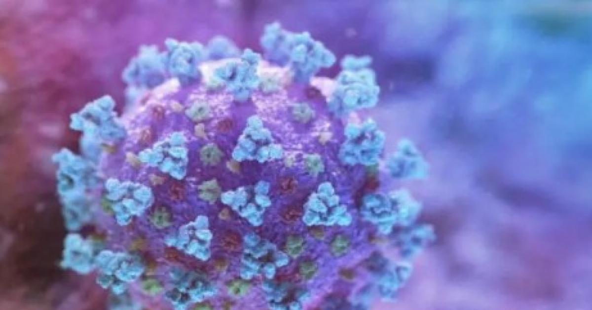 Kenali Bahaya Virus Nipah, Penyakit Menular dari Hewan ke Manusia ...