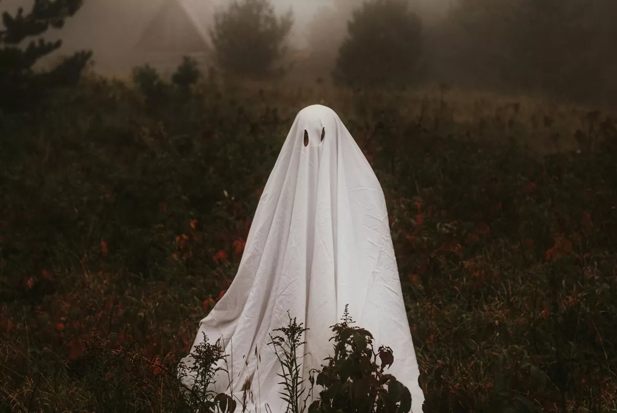 GEGER Isu Pencurian Modus Pocong di Kulon Progo, Polisi Ungkap Fakta ...