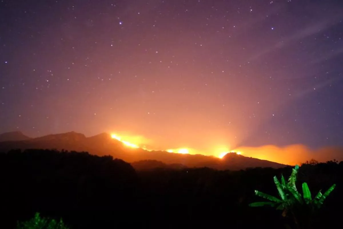 Hutan di Kawasan Savana Propok Gunung Rinjani Terbakar, Petugas ...
