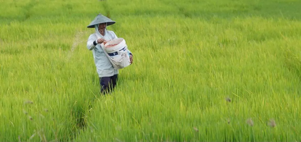 NTP Mei 2026 Naik Jadi 127,73, Mentan Amran Sebut Pendapatan Petani ...